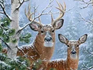Winter Scene Buck and Doe 30 x 40cm Square Diamonds ...